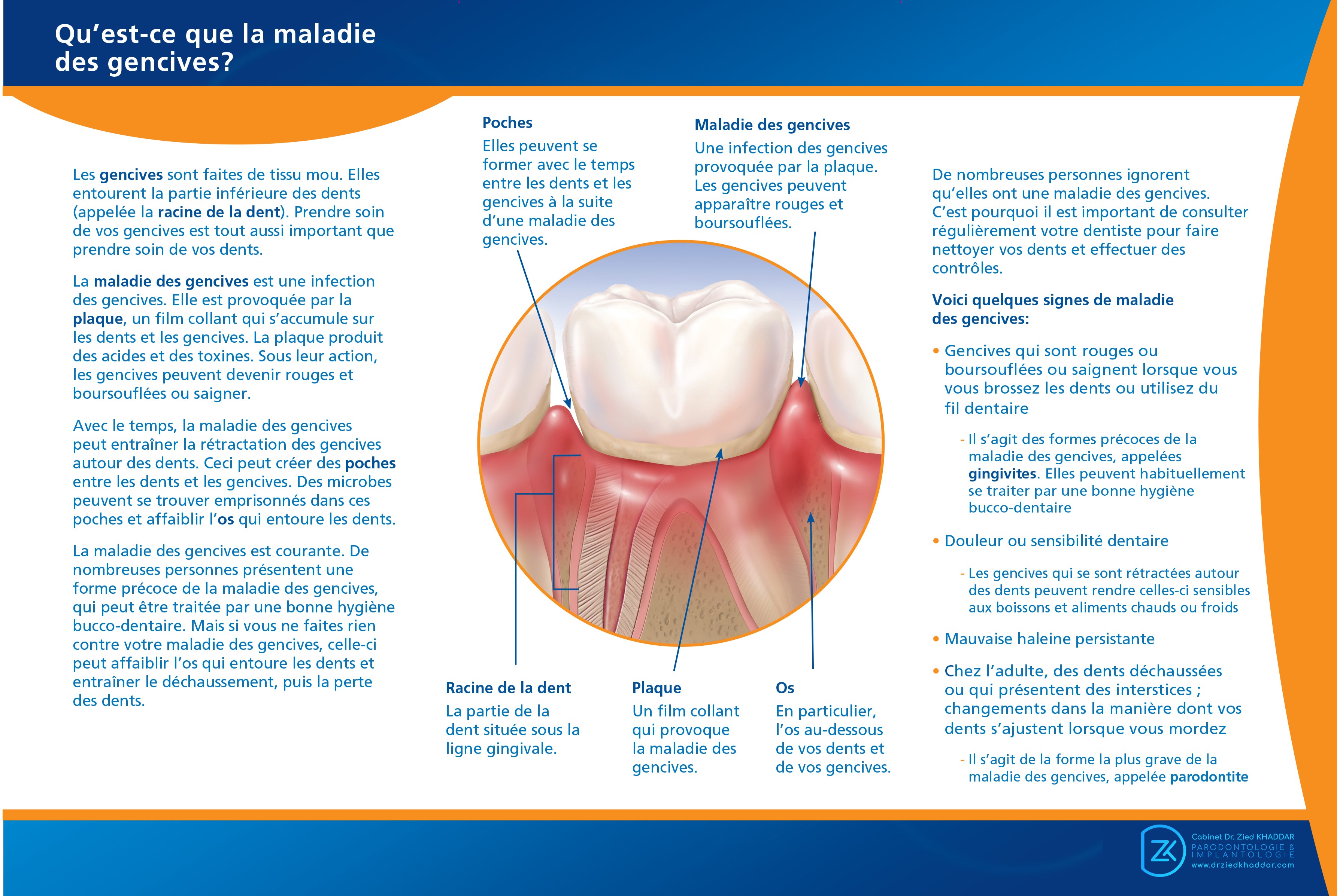 Blog - Dr. Zied Khaddar